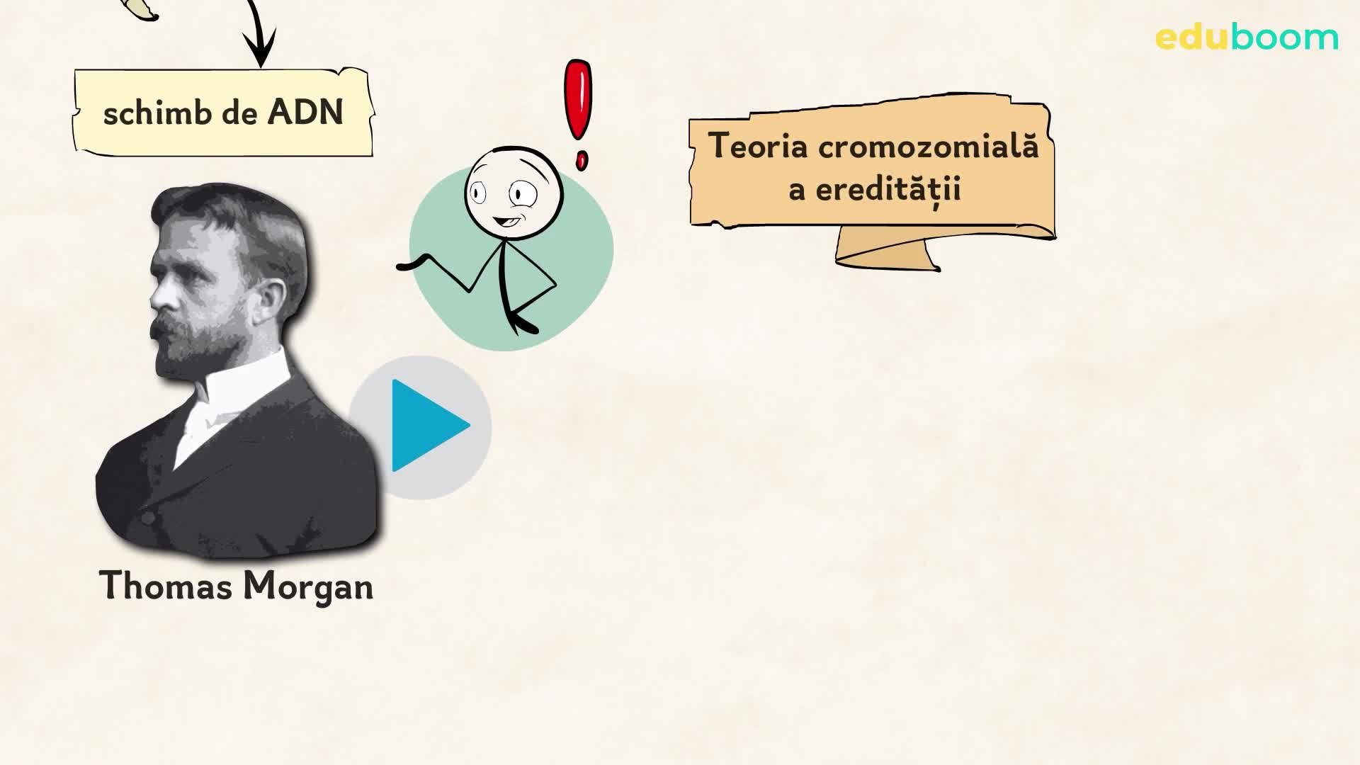 Recombinarea genetică. Determinismul cromozomal al sexelor. Biologie