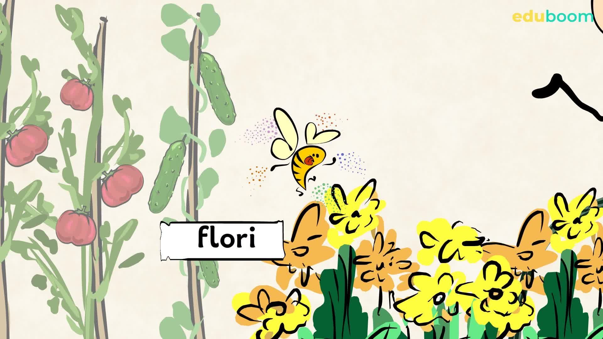 Gradina. Livada. Biologie clasa a 5-a