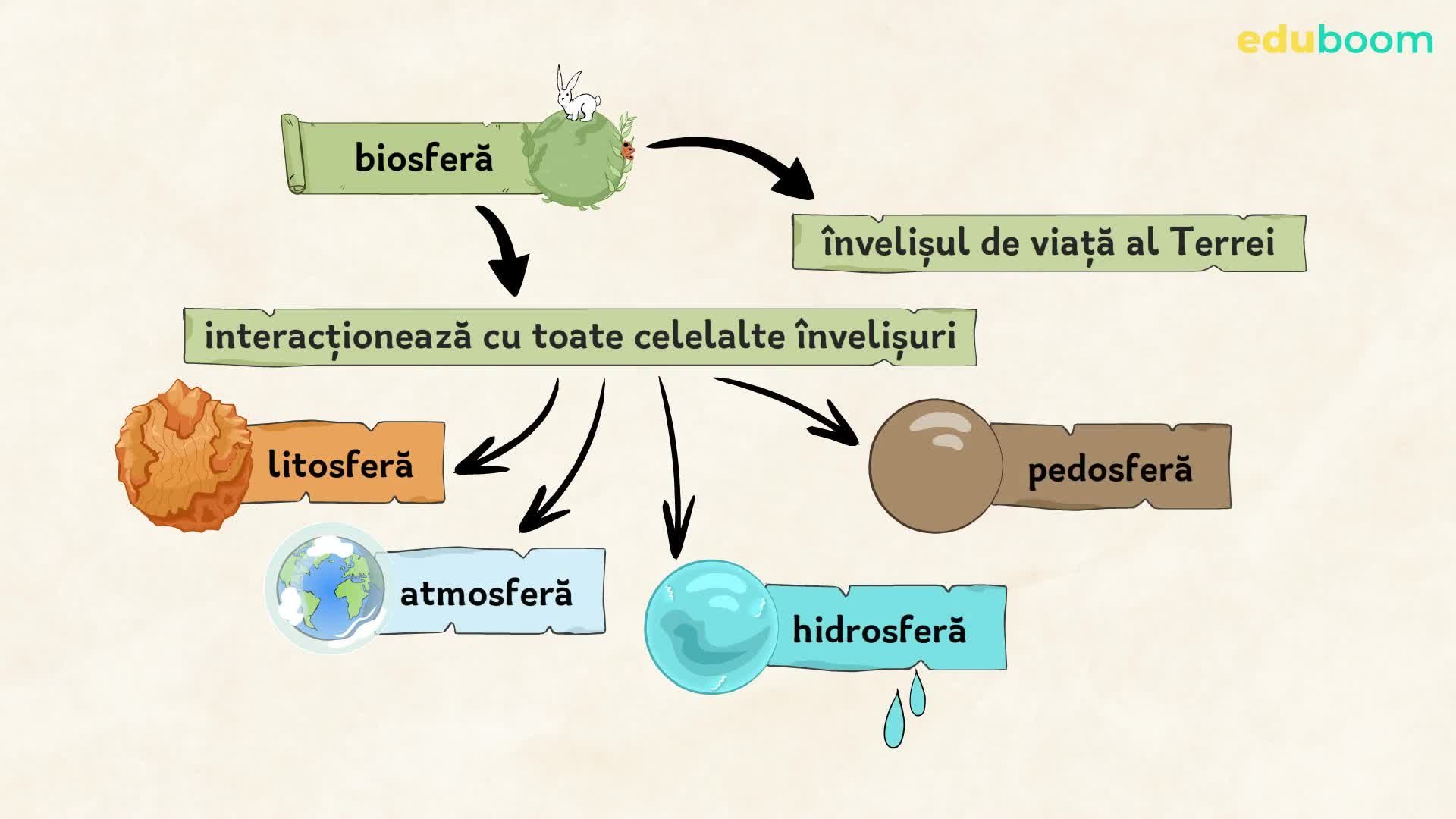 Biosfera. Caracteristici generale și importanță. Geografie clasa a V-a