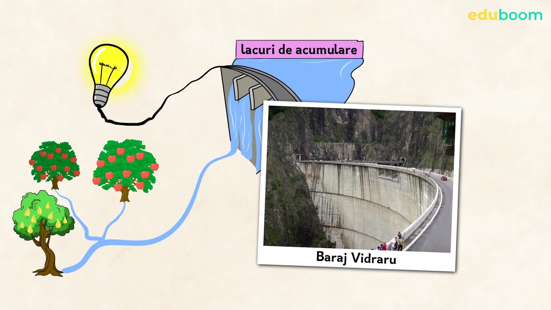 Apele stătătoare. Geografie clasa a 4-a