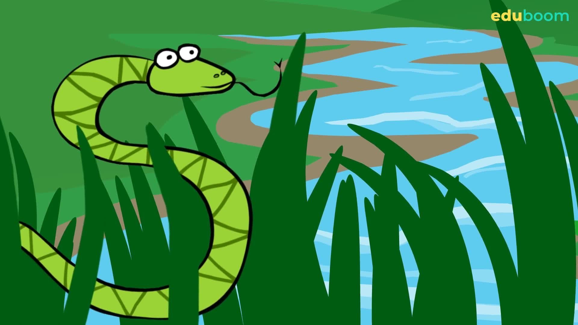 Literele S și s (Sunetul s). Comunicare în limba română, clasa pregătitoare