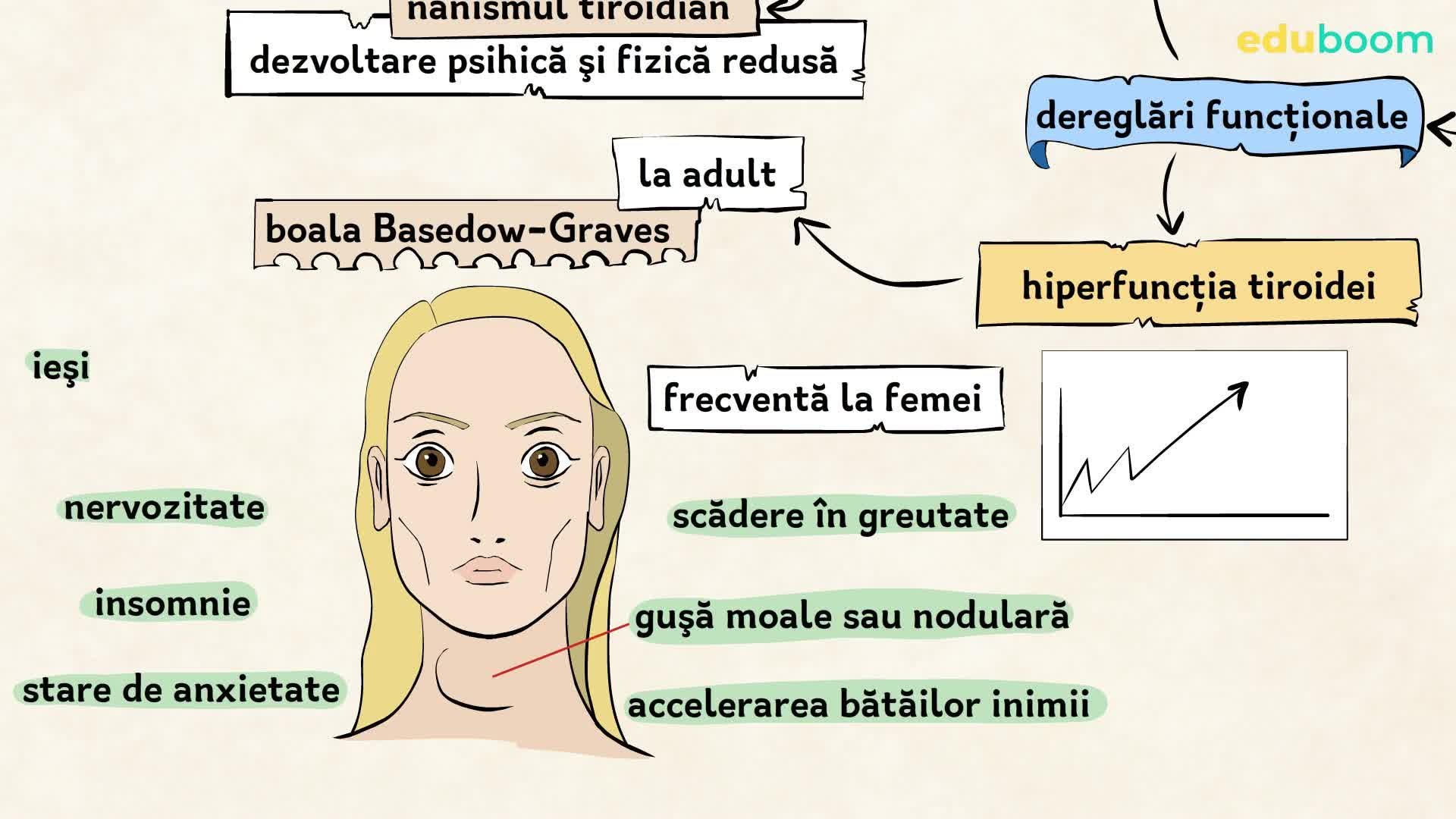 Glanda tiroidă. Biologie clasa a 7-a