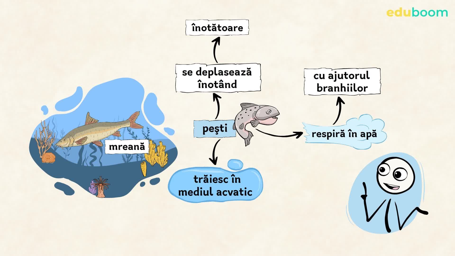 Recapitulare. Științe ale naturii clasa a 3-a