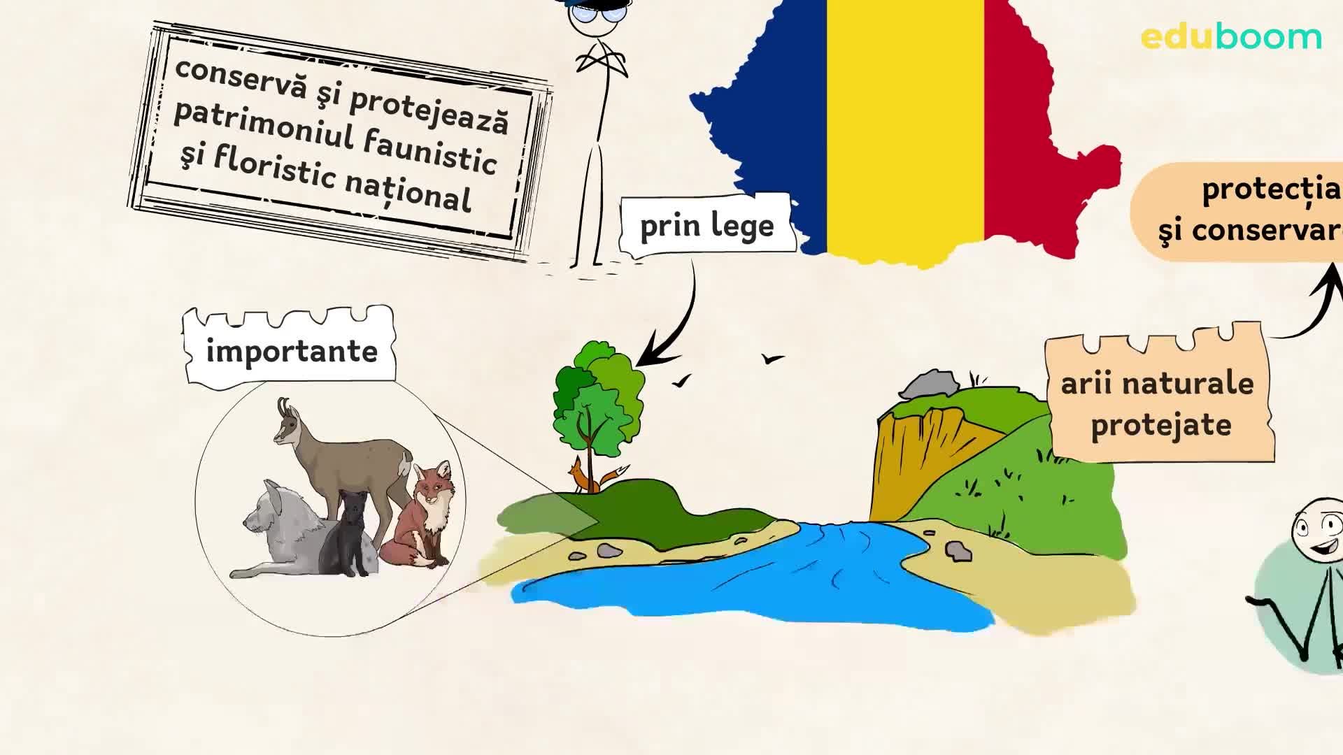 Protecția florei și faunei în România. Biologie clasa a 9-a