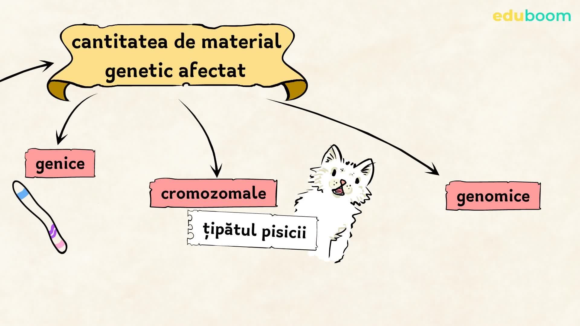 Factori mutageni și consecințele mutațiilor. Biologie clasa a 8-a