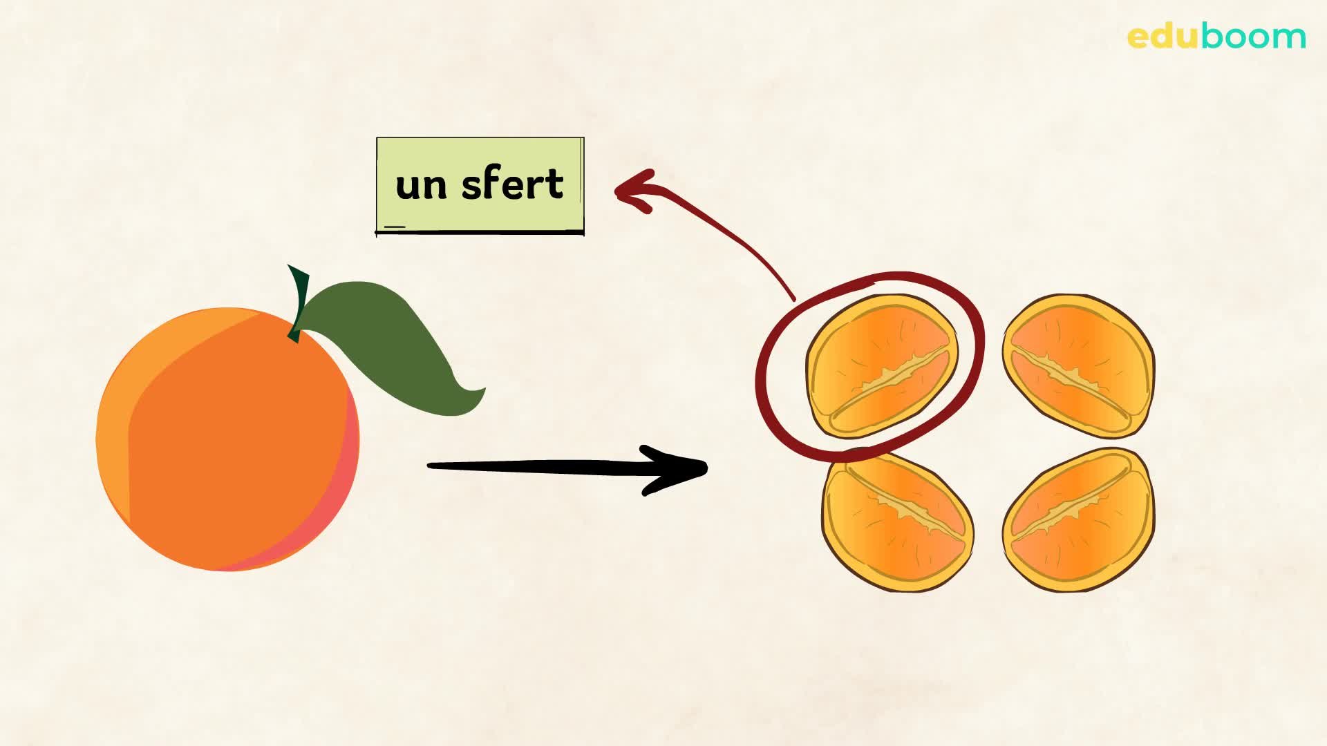 Fracții. Jumătate/doime, sfert/pătrime. Fracții echivalente. Matematica ...