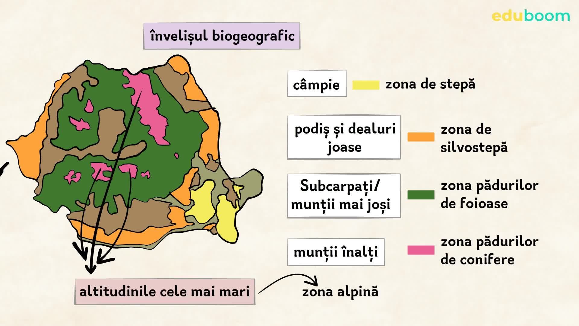 Regiunile geografice pe baze naturale. Geografie clasa a 8-a