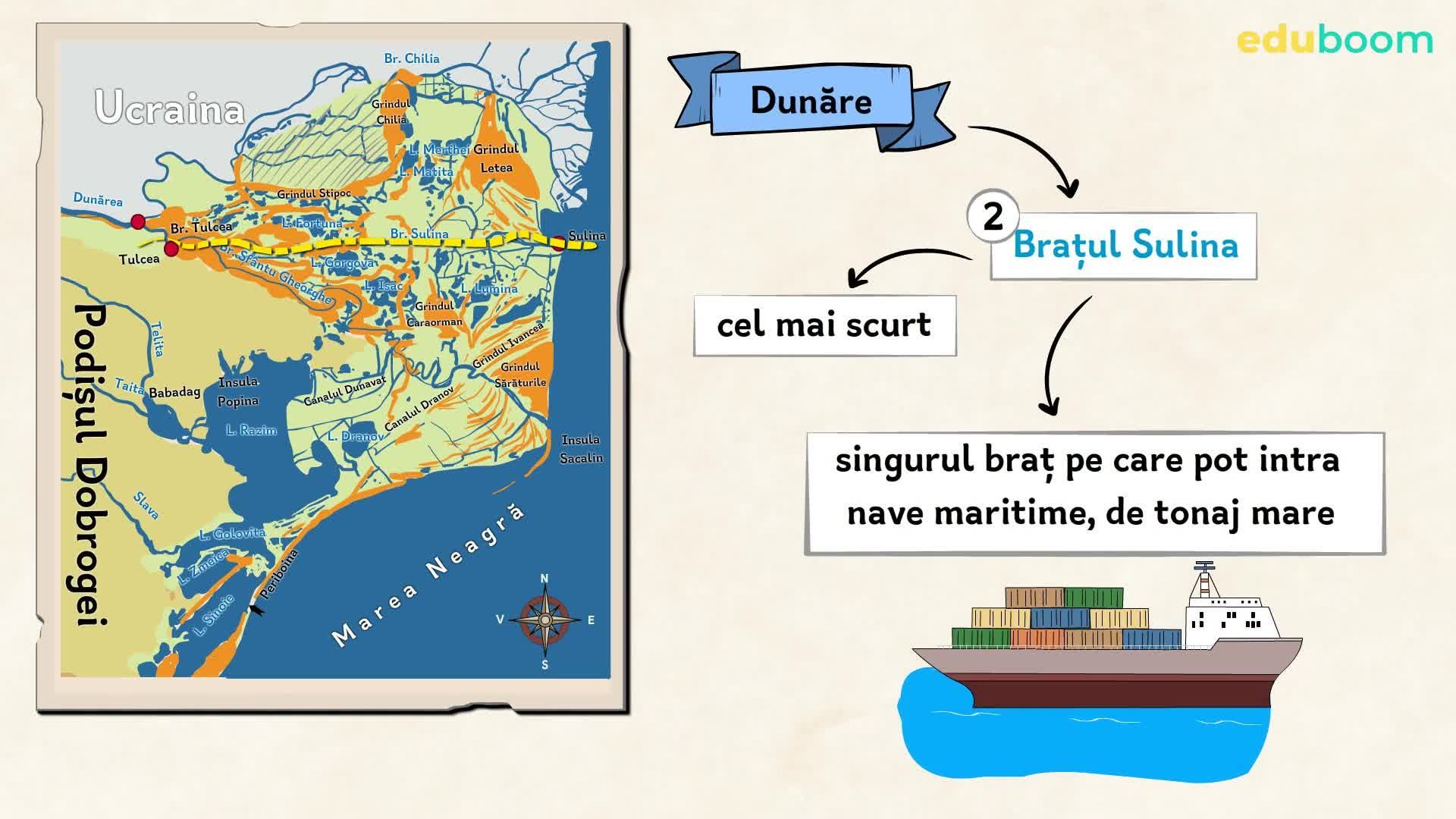 Delta Dunării. Geografie clasa a 8-a