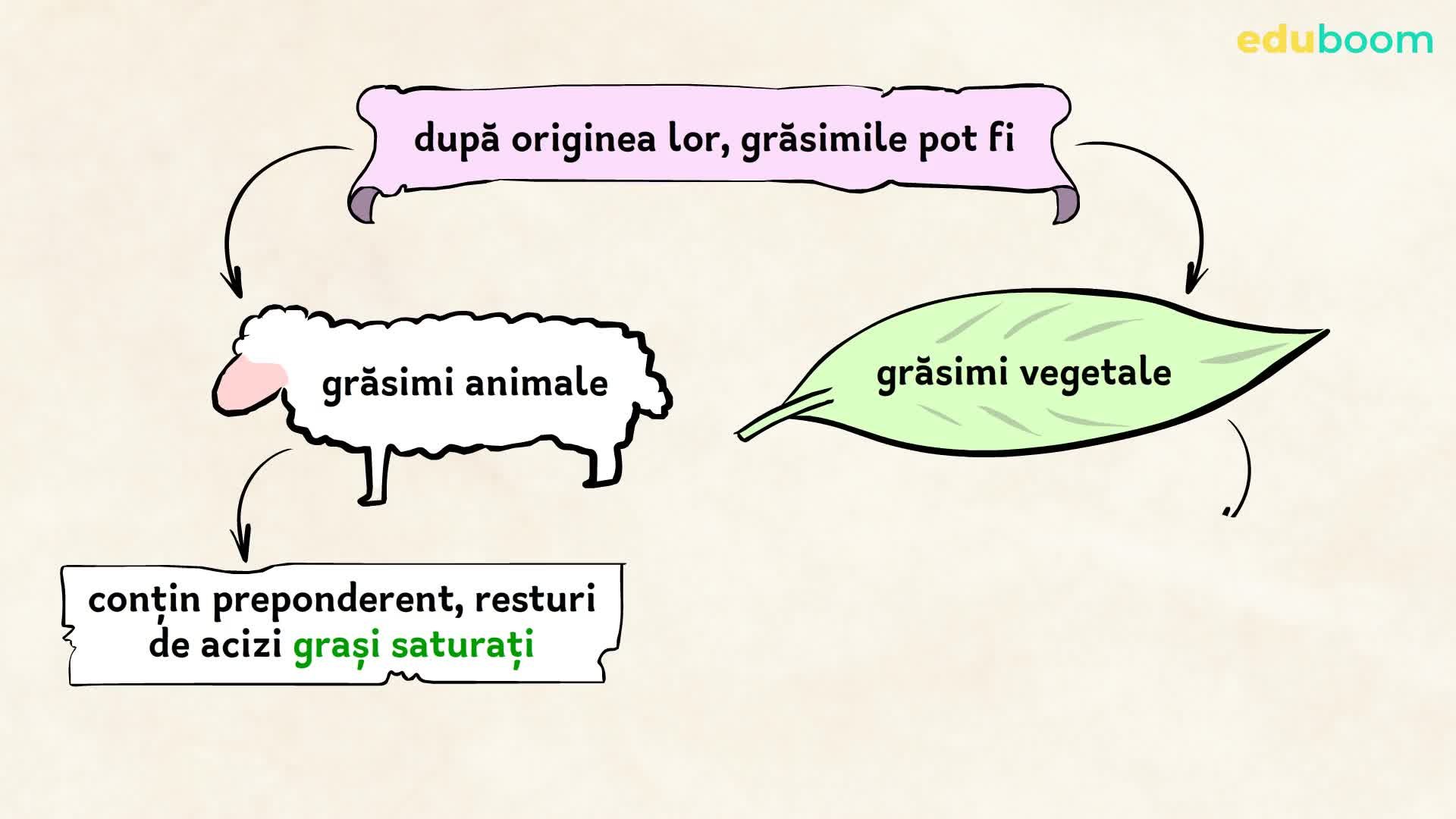 Grăsimi. Chimie clasa a 10-a