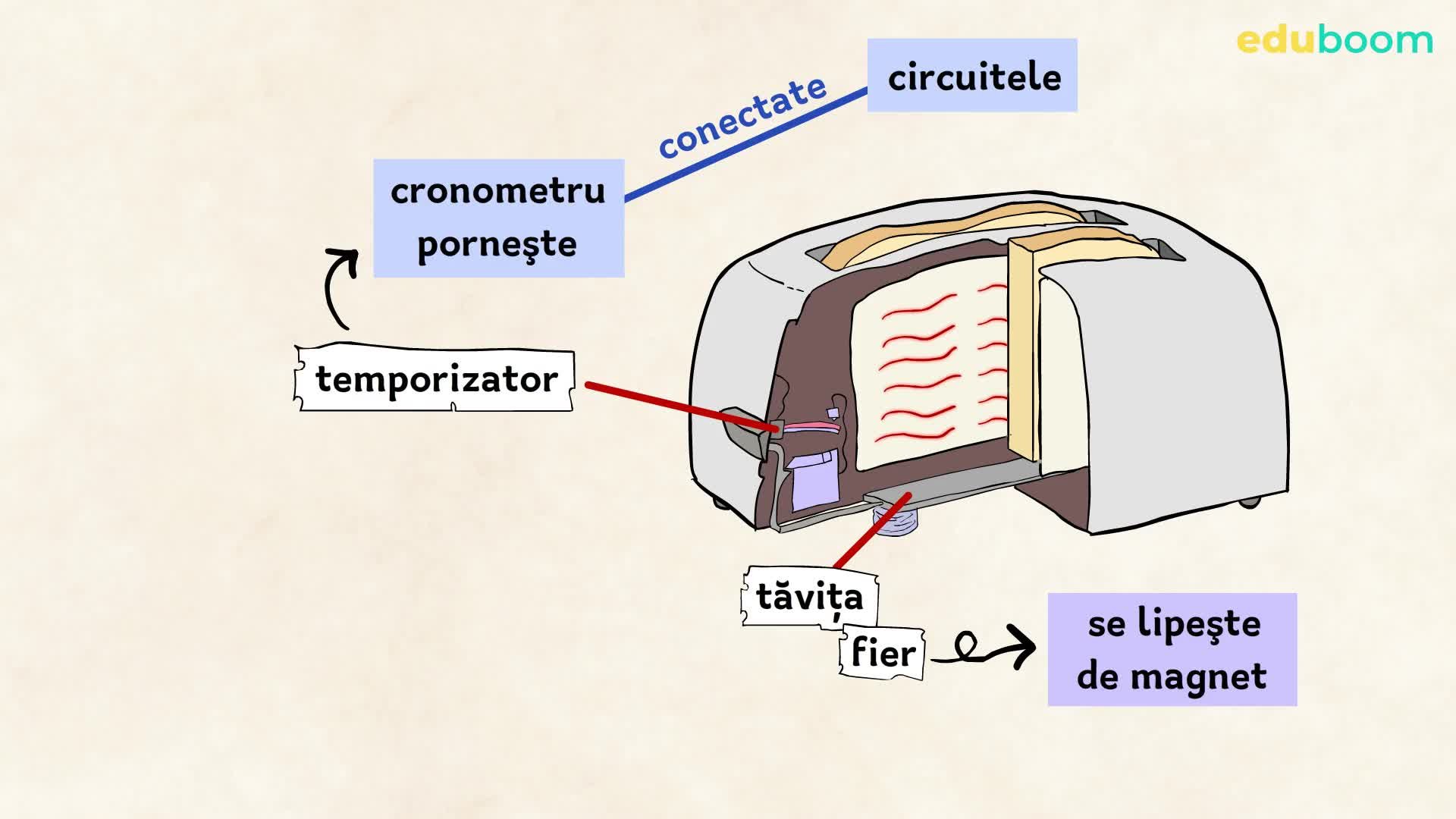 Forţa electromagnetică. Aplicaţii. Fizică clasa a 10-a