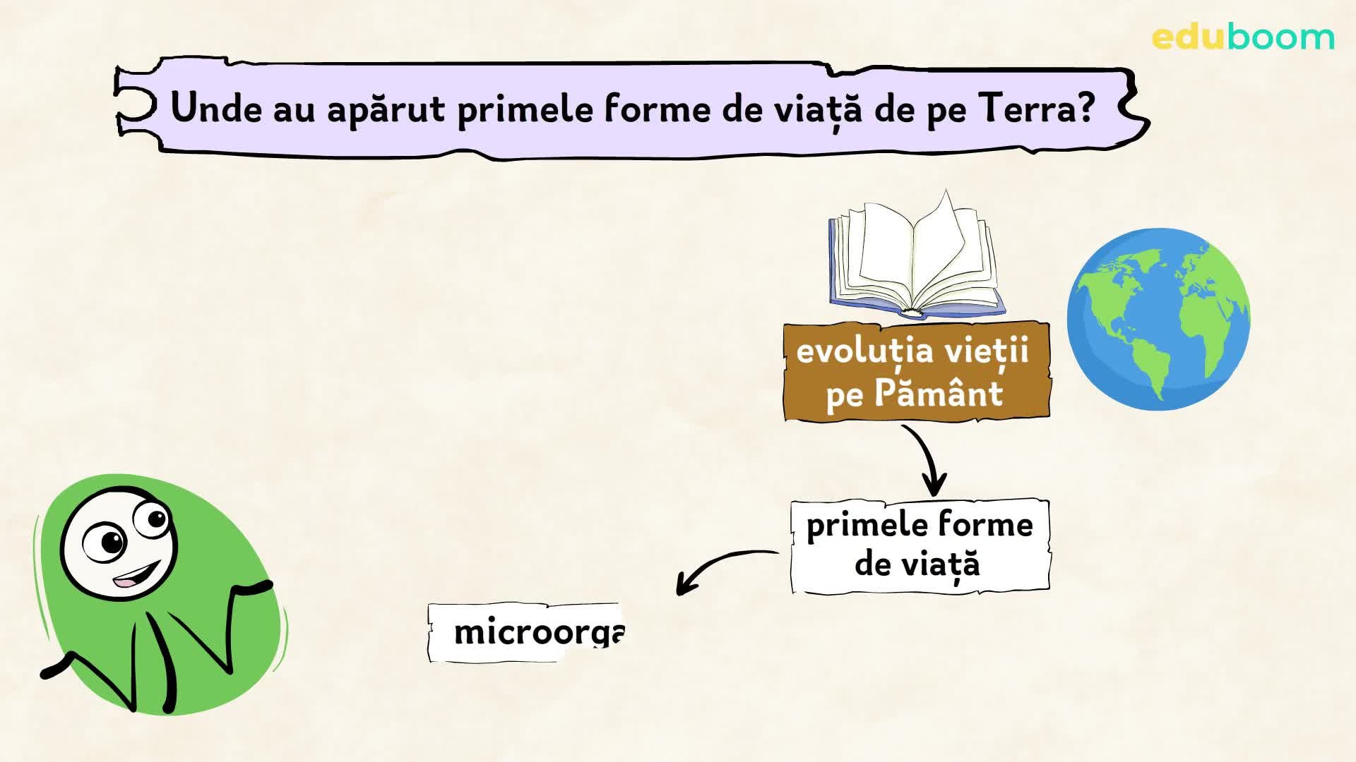 Recapitulare. Științe ale naturii clasa a 4-a