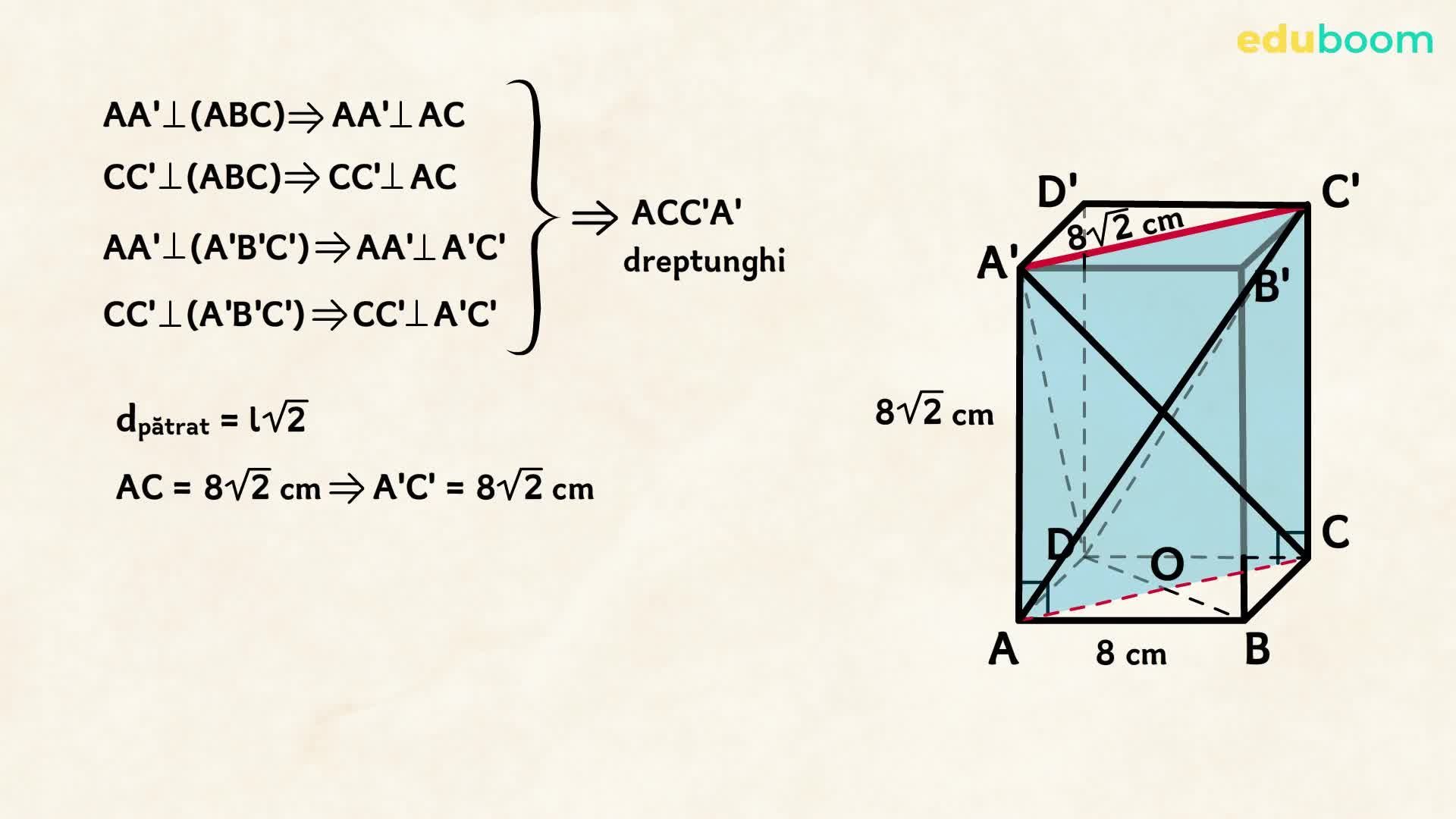 Test antrenament 5. Partea III. Geometrie. Matematica clasa a 10-a