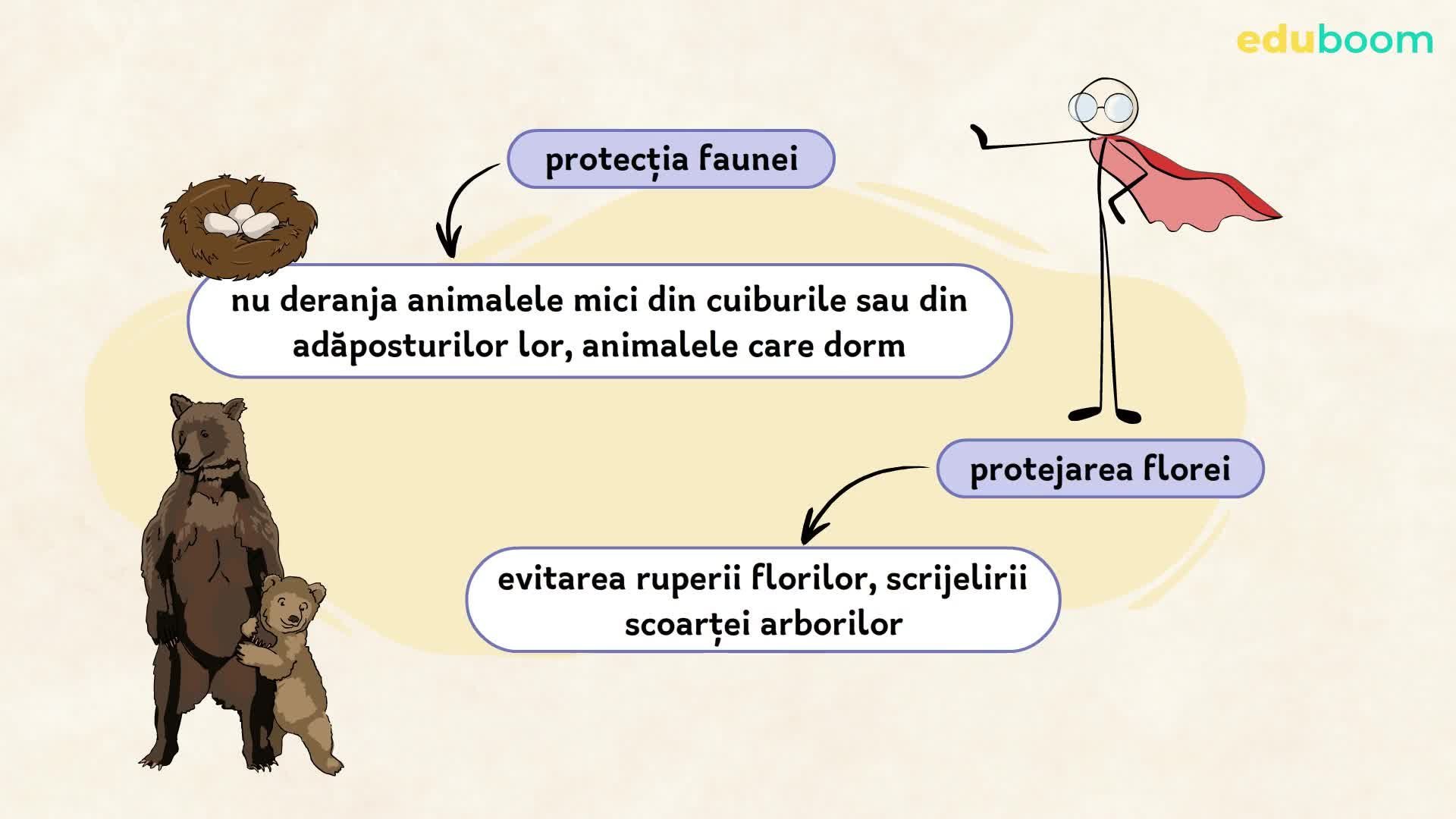 Protecția plantelor, a animalelor și conservarea solului. Geografie ...