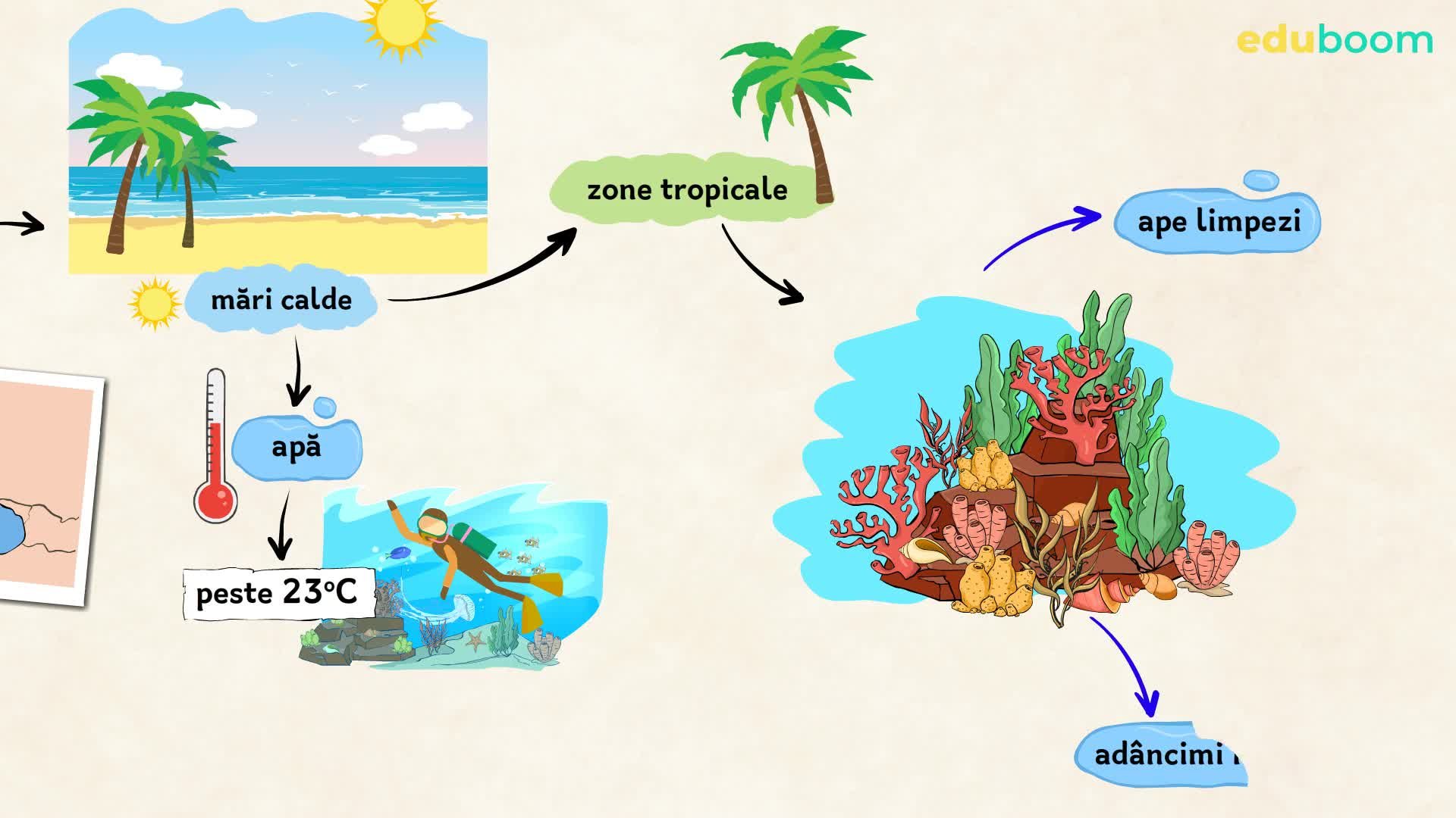Mări și oceane. Științe ale naturii a 4-a