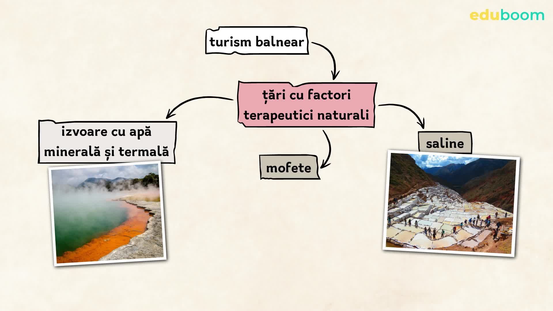 Activitățile economice: agricultura, industria, serviciile. Geografie clasa a 6-a