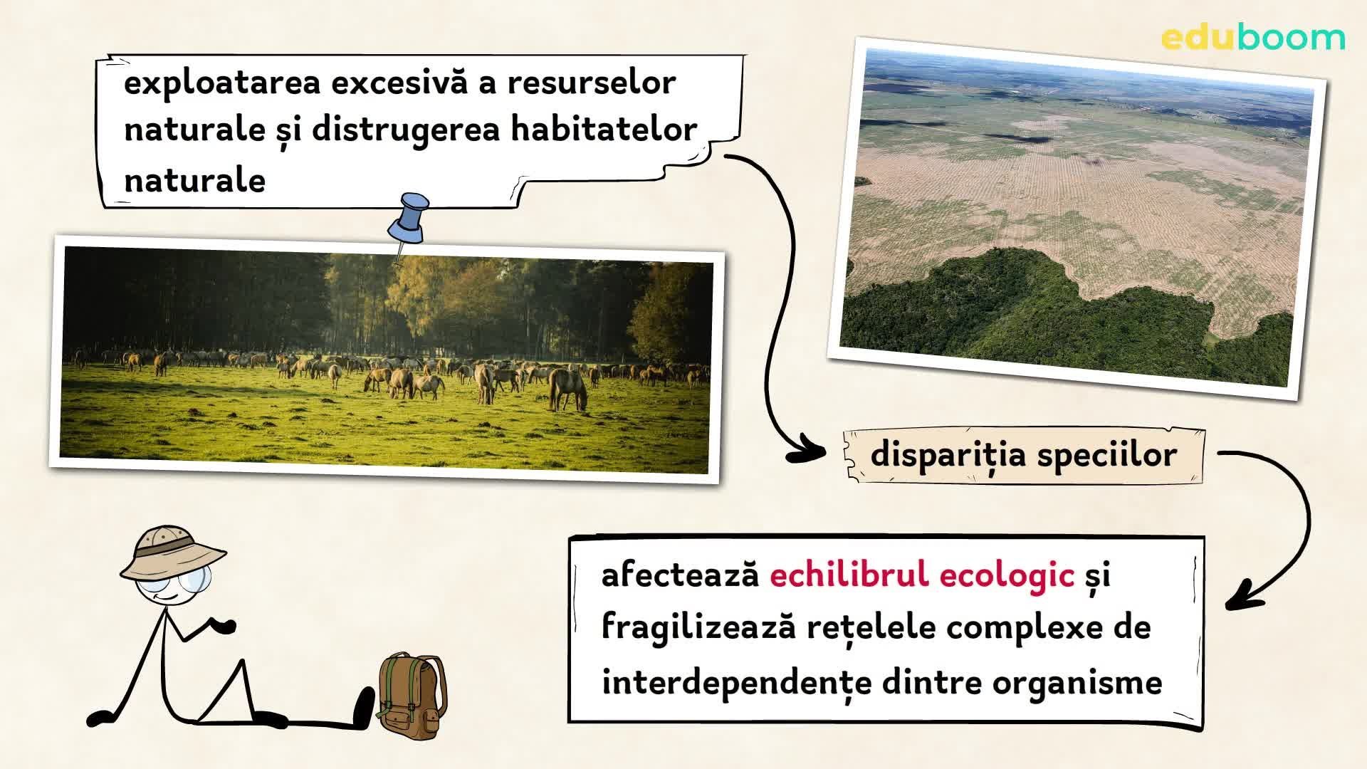 Degradarea mediului înconjurător, o problemă a lumii contemporane ...