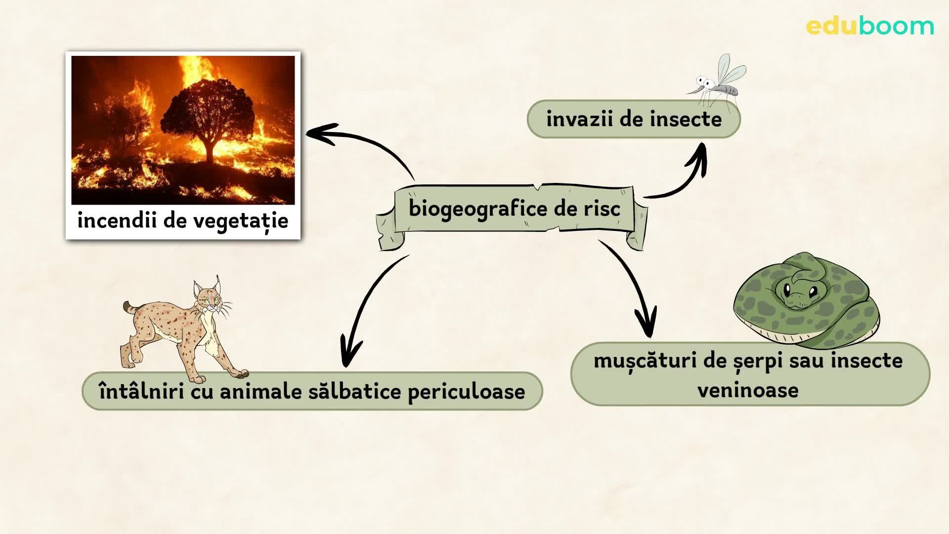 Solurile. Fenomene de risc. Recapitulare. Geografie clasa a 8-a