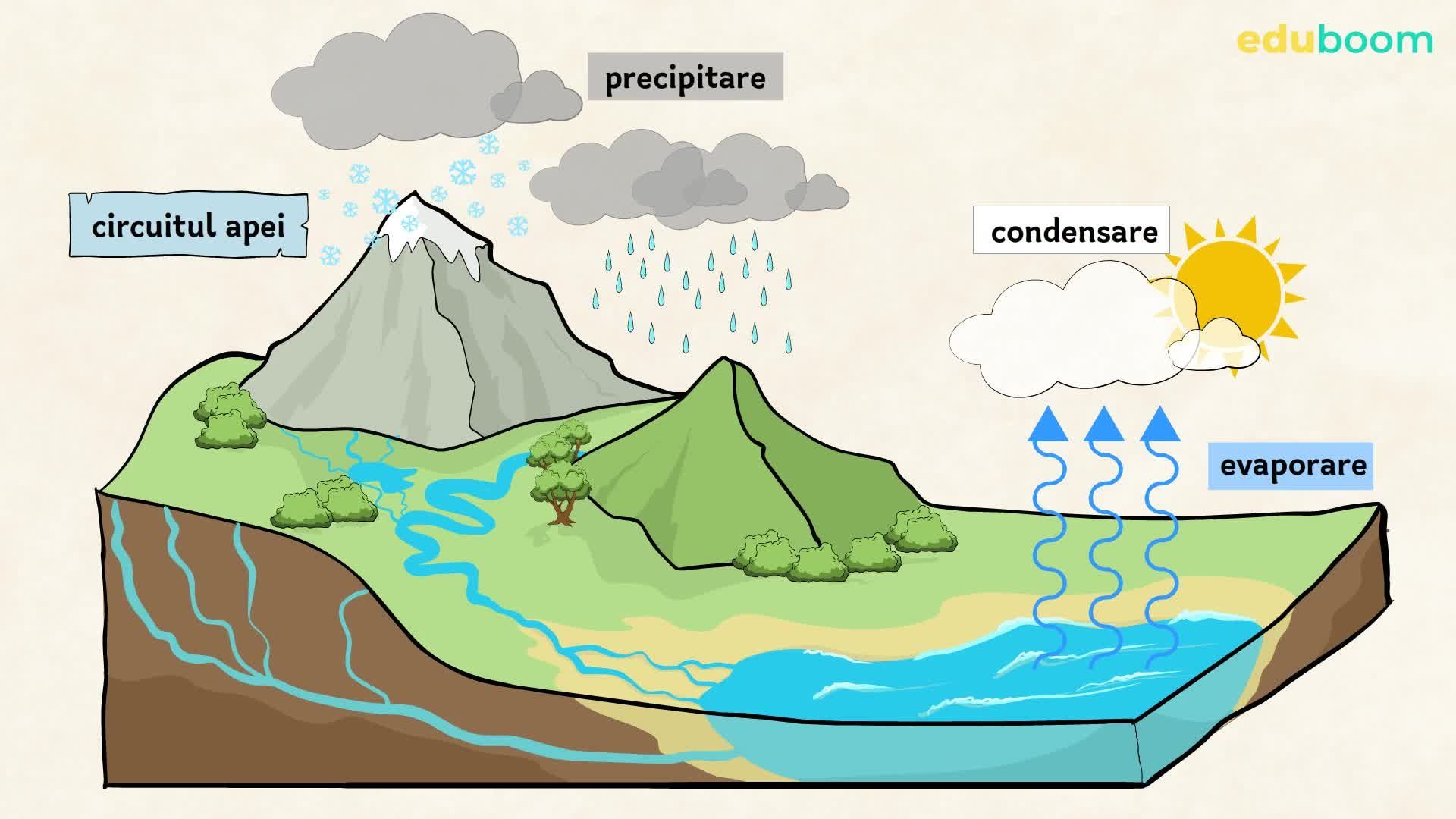 Componentele hidrosferei. Geografie clasa a 9-a
