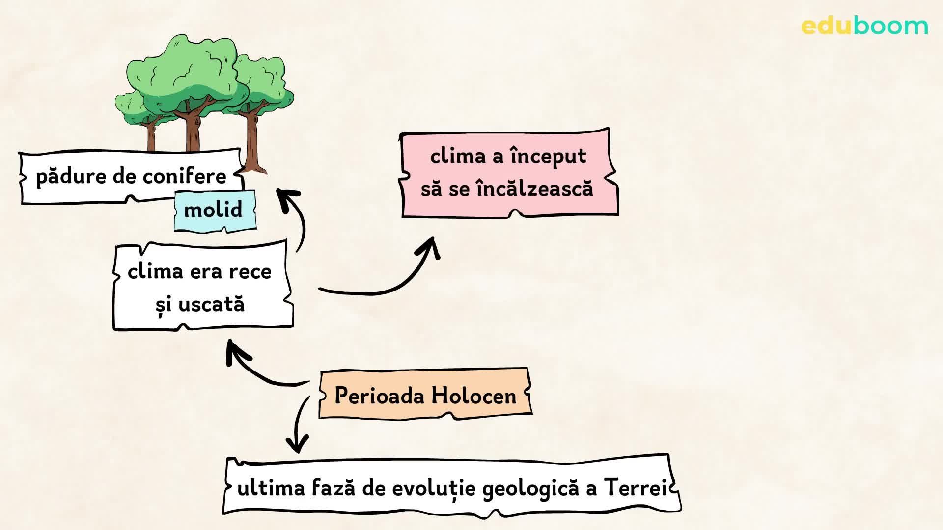 Relieful – Formarea și evoluția reliefului. Geografie clasa a 8-a