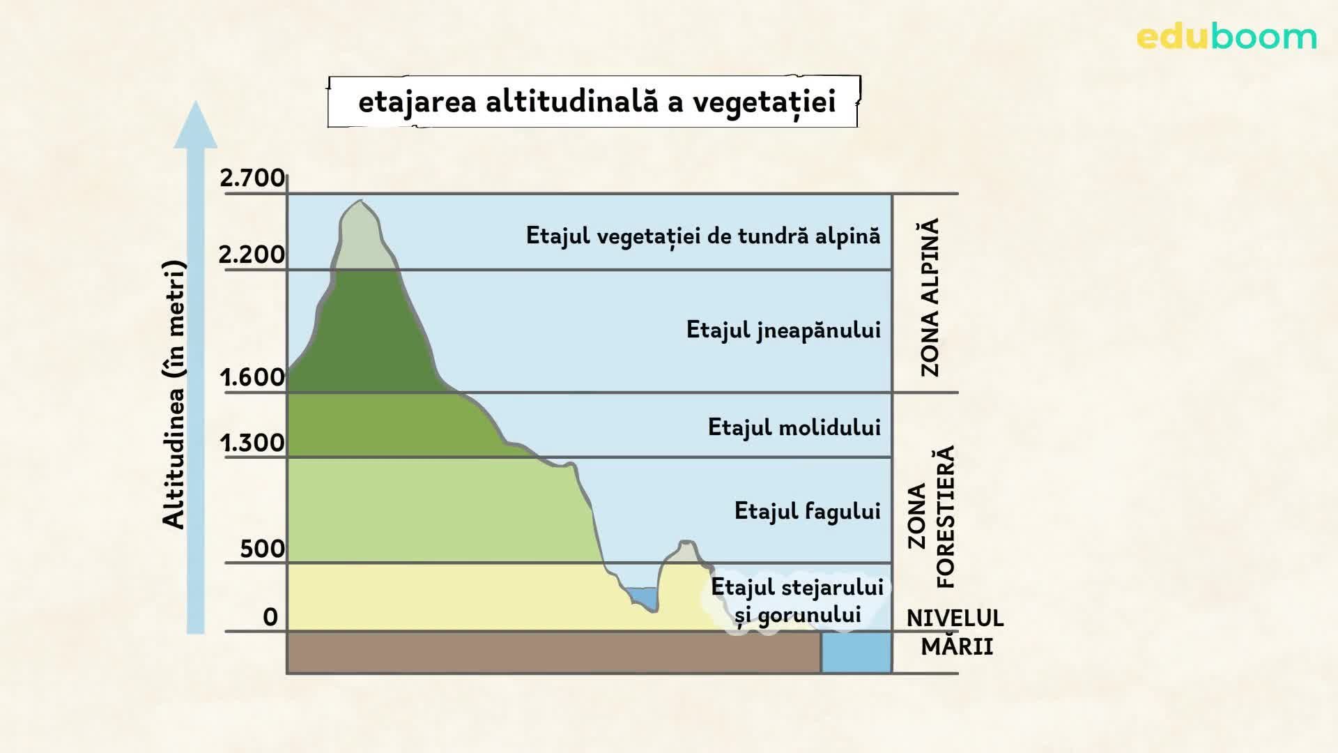 Zona biogeografică rece. Geografie clasa a V-a