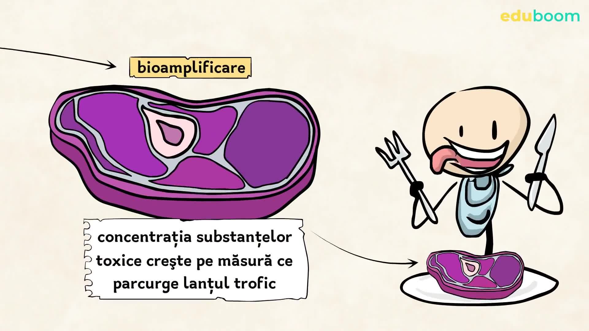 Calitatea solului. Biologie clasa a 8-a