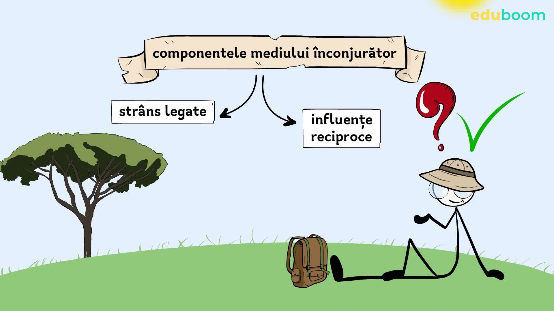 Componentele mediului înconjurător și relațiile dintre acestea ...