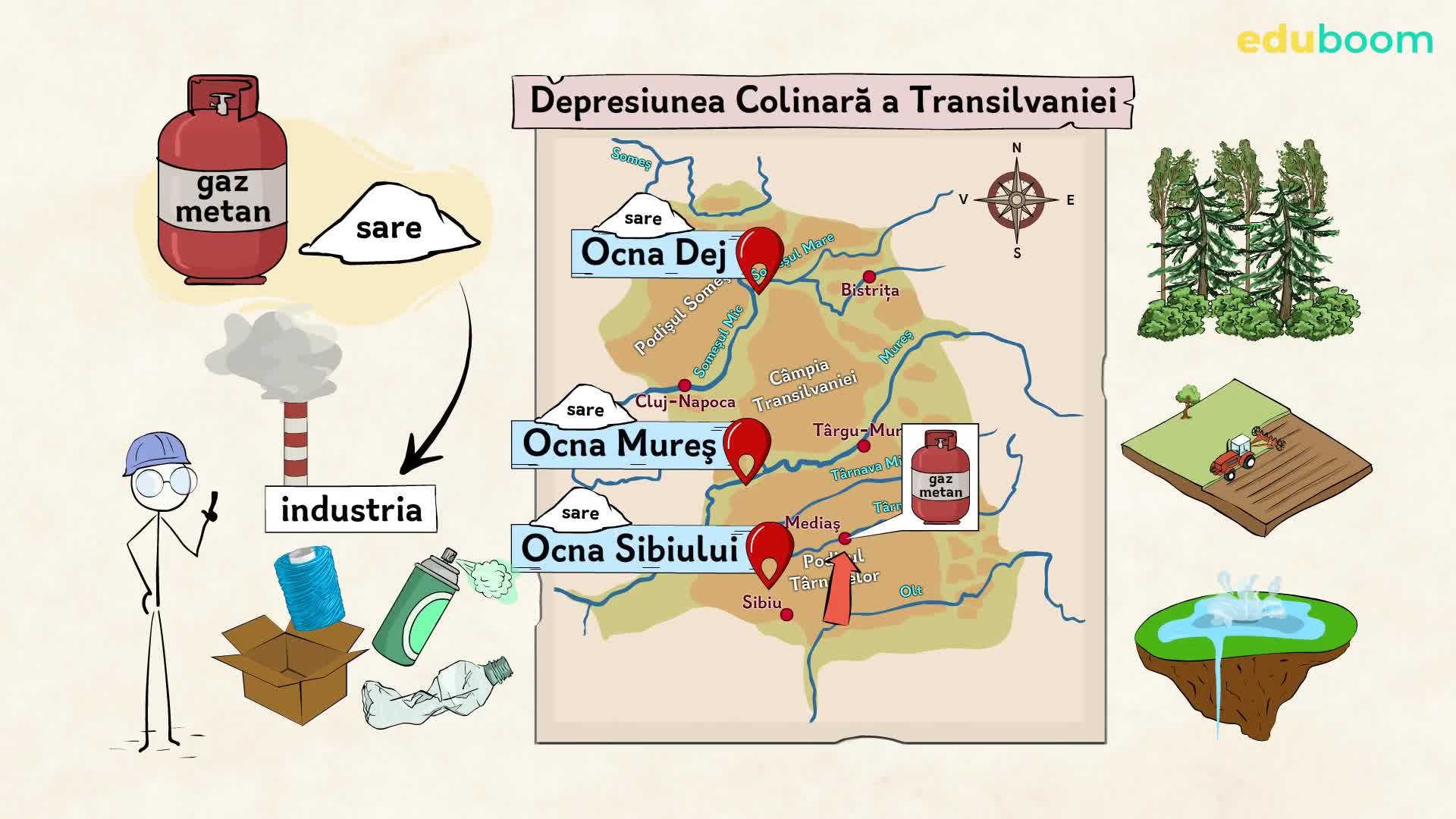 Depresiunea Colinară a Transilvaniei. Geografie clasa a 4-a