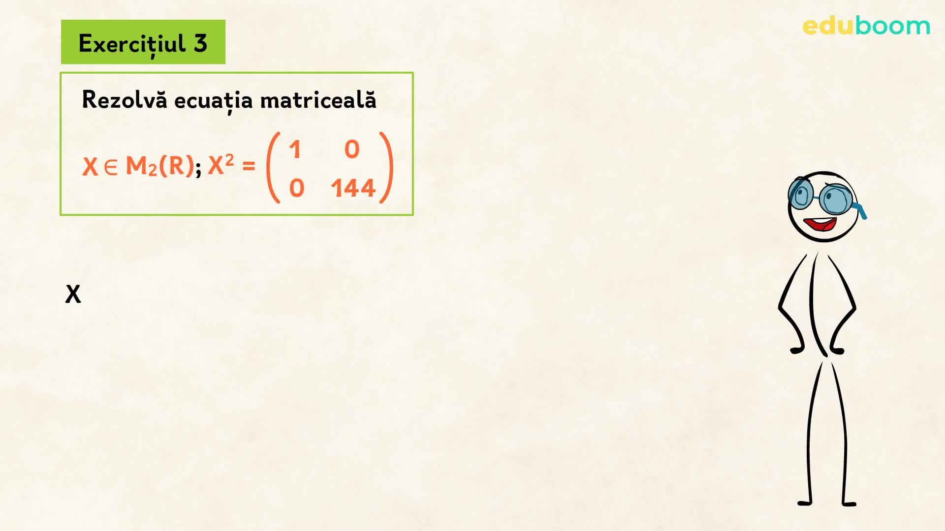 Util! Ecuații matriceale. Partea II. Matematica clasa a 11-a