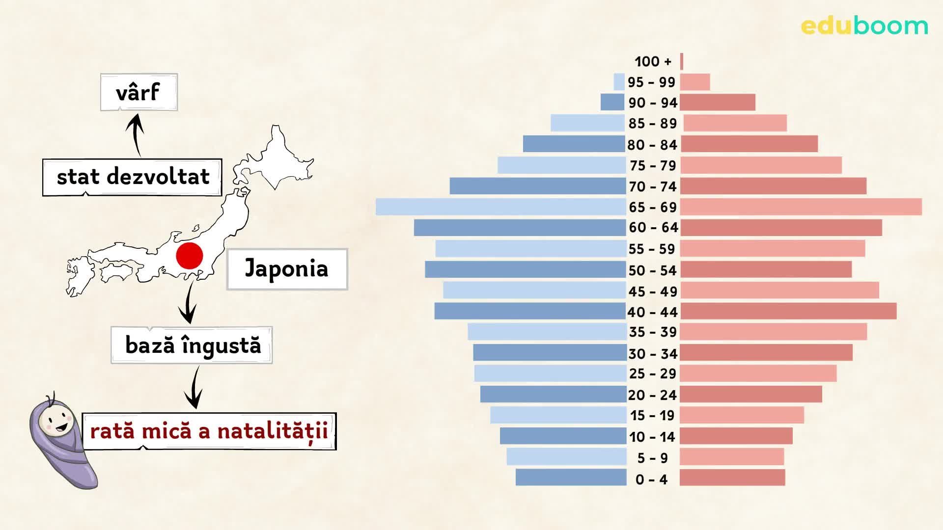 Structuri demografice. Geografie clasa a 10-a