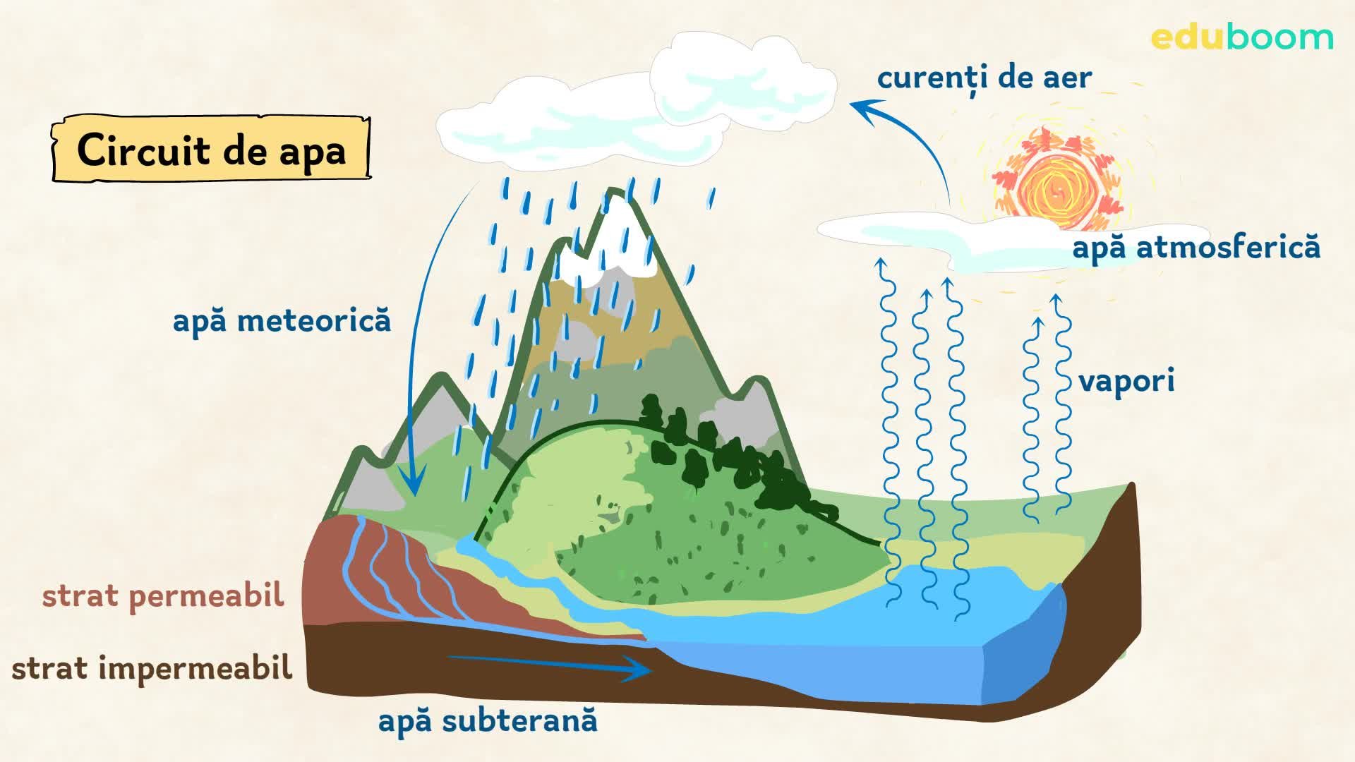 Ape statătoare. Lacul. Biologie clasa a 5-a