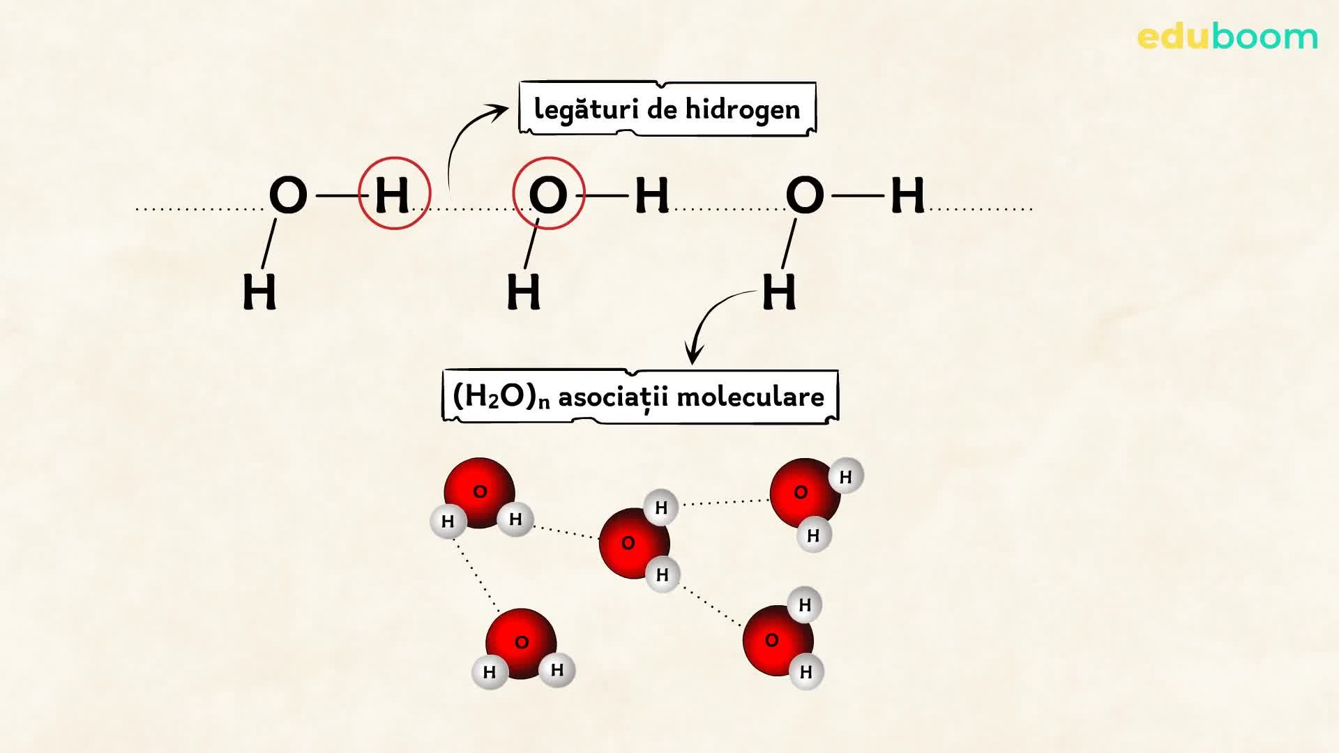 Aplicații. Interacții între molecule. Chimie clasa a 9-a