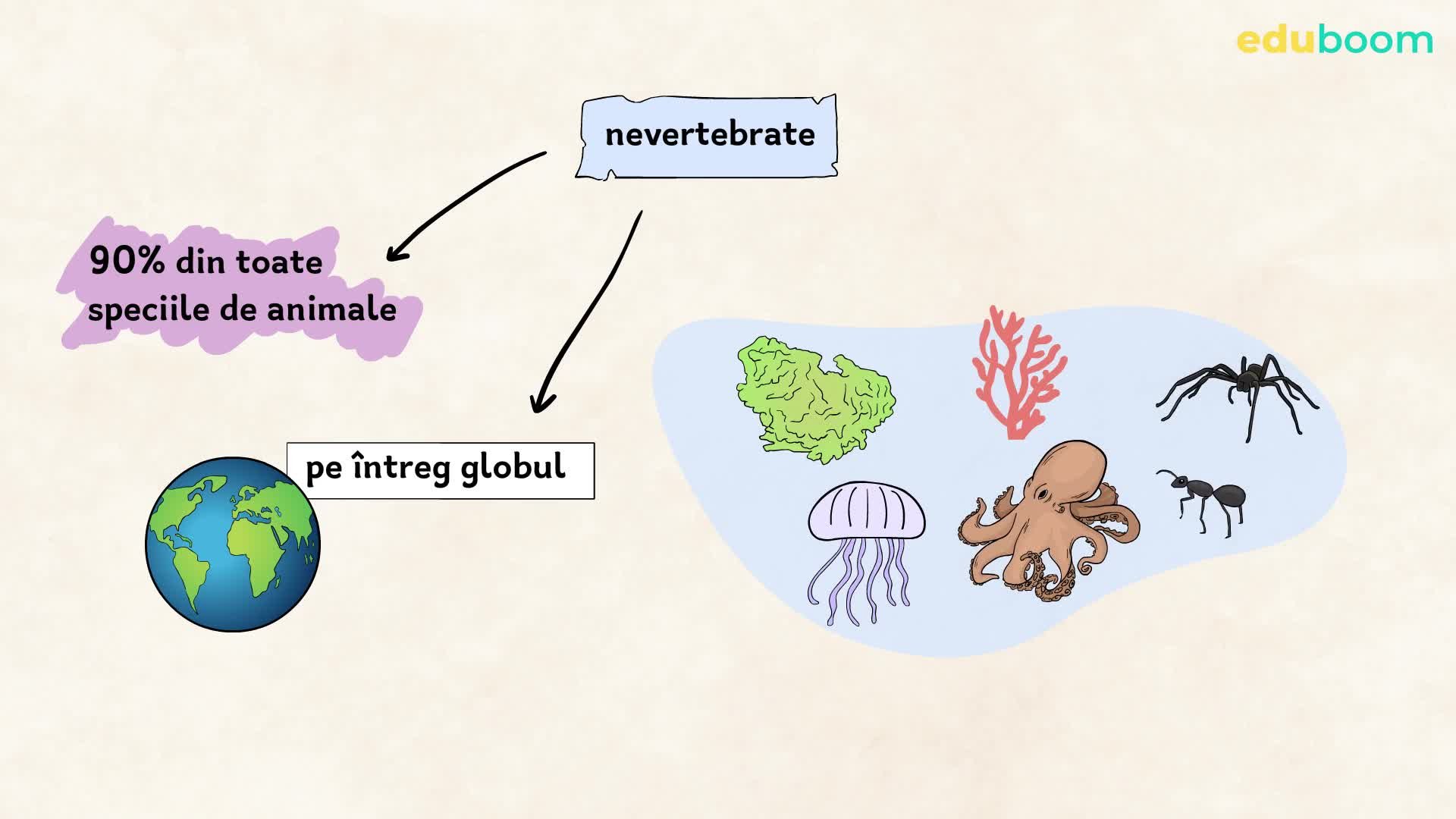 Regnul Animalia. Biologie clasa a 5-a
