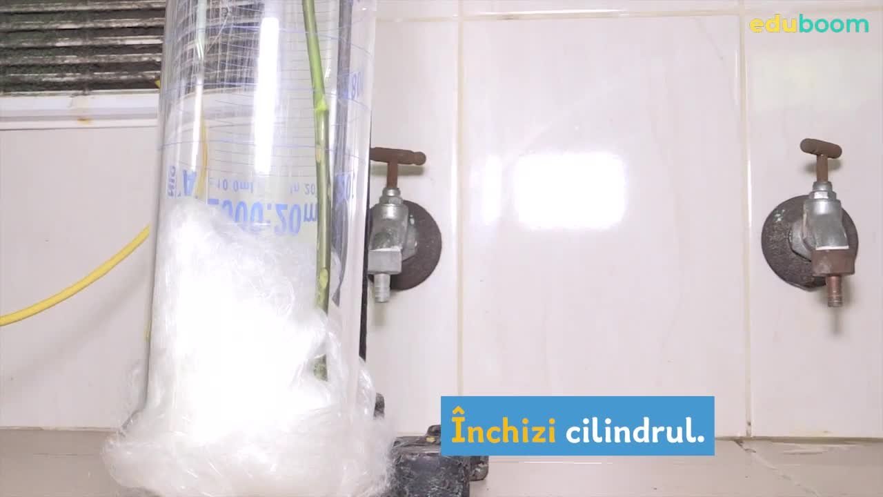 Trandafir roșu, trandafir negru. Obținerea amoniacului și acțiunea sa ...