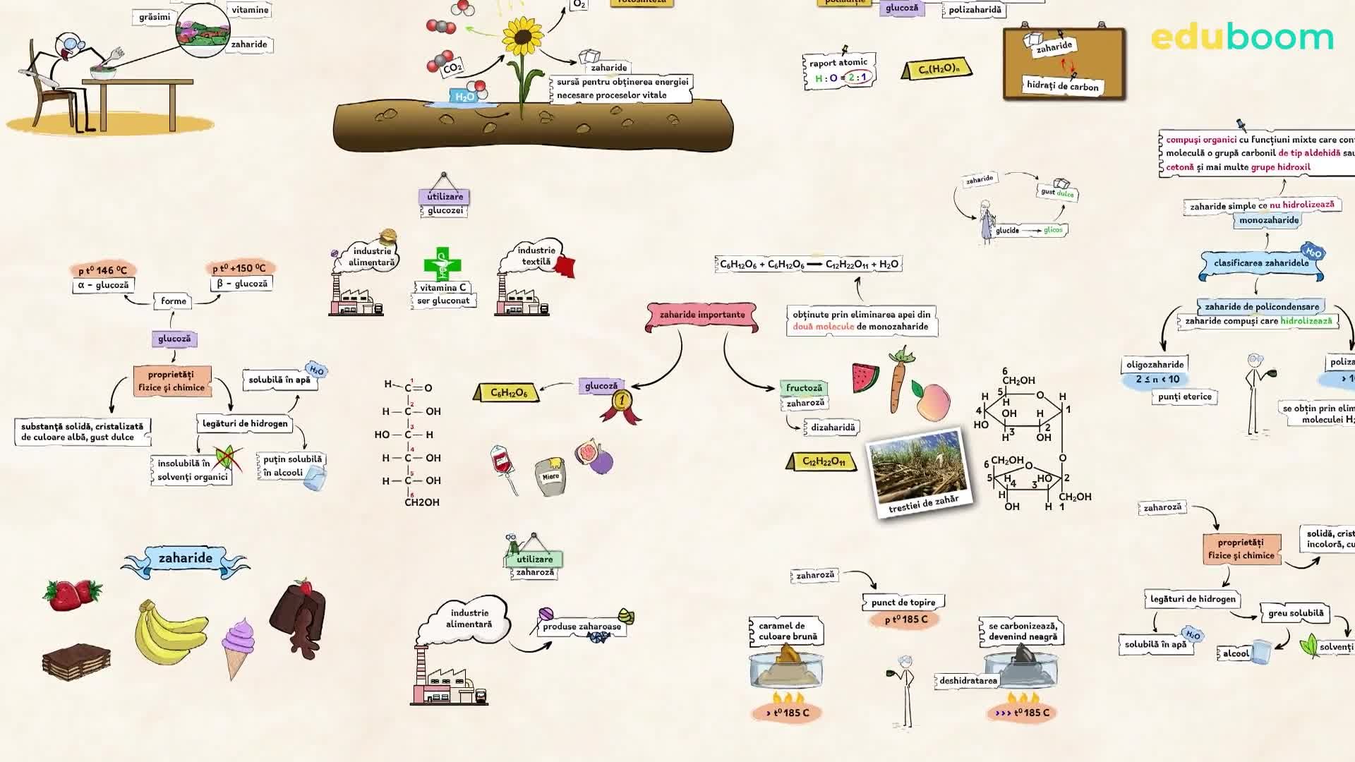 Glucoza. Zaharide. Chimie clasa a 10-a