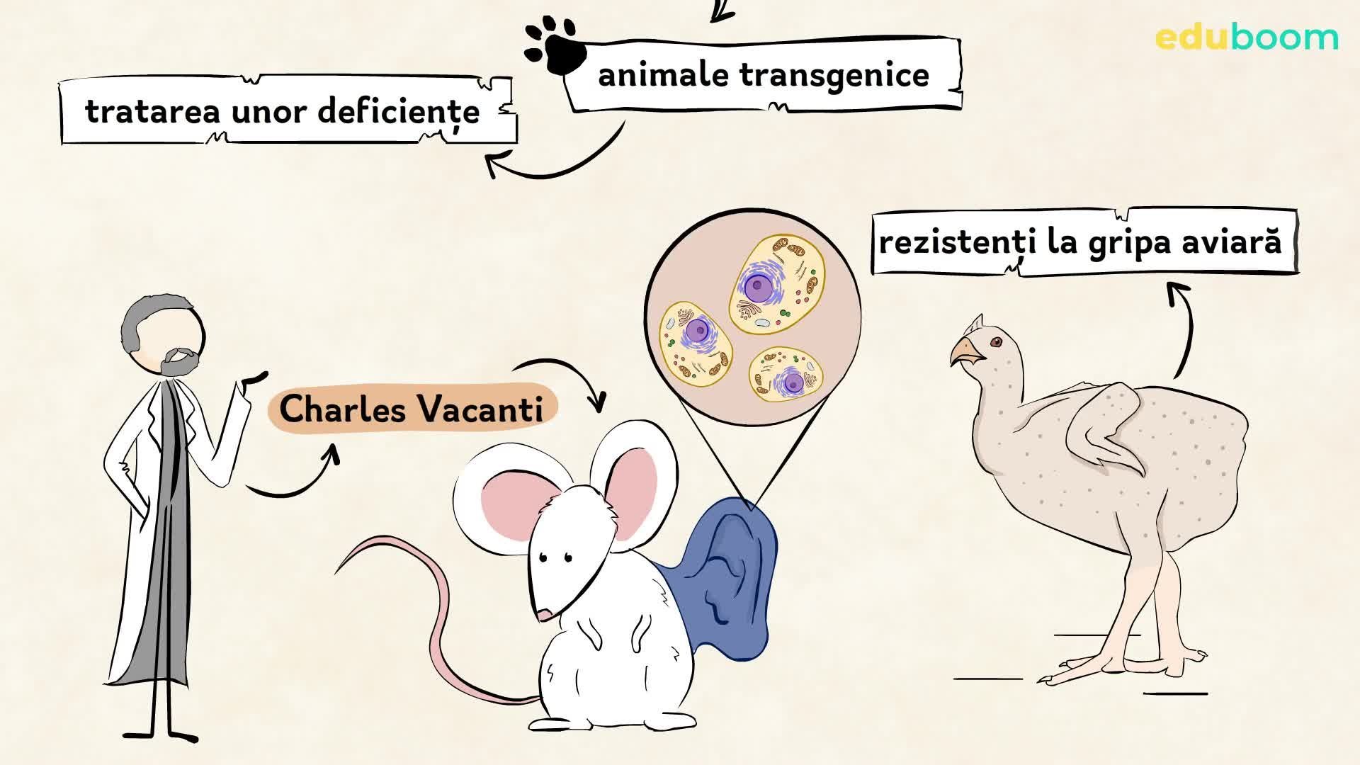 Biotehnologii. Biologie clasa a 9-a