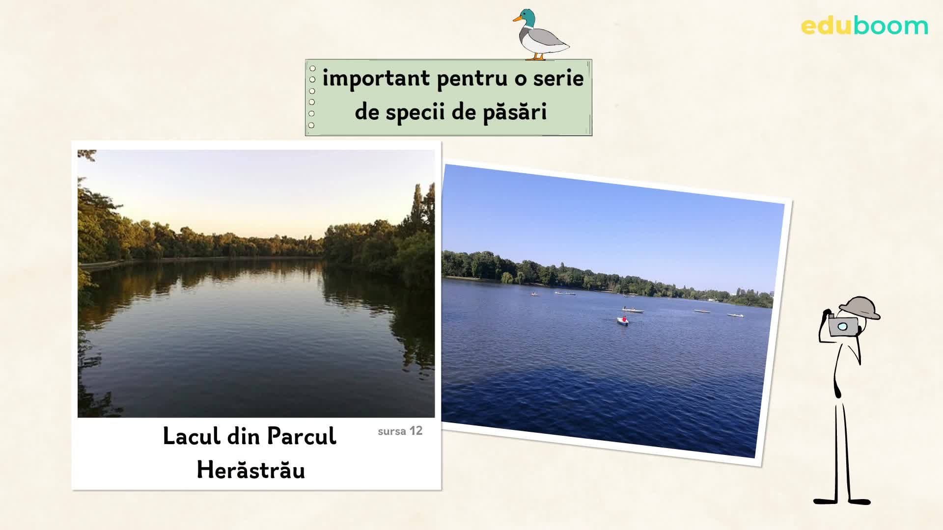 Hidrografia orizontului local. Aplicații practice în orizontul local ...